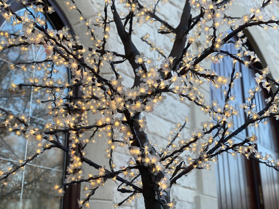 How It Works - First Choice Lights